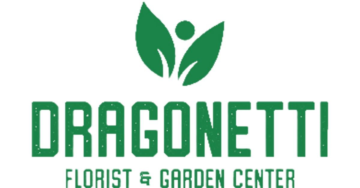 Dragonetti Florist | Brooklyn Florist | Same-Day Flower Delivery ...